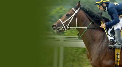 SI Tickets | Explore events | SI Tickets by Sports Illustrated